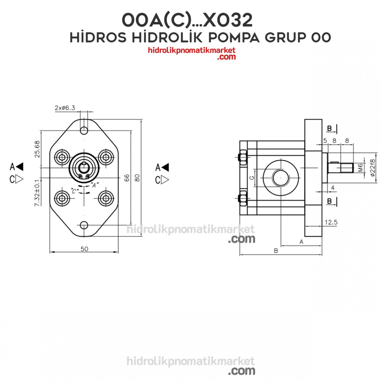 Hidros Hidrolik Pompa H00C1.25X032 Sola Dönüşlü 1.25 cc/dev 200 Bar ...